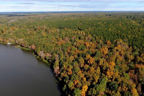 Waterfront Homes Sale in Chesterfield, VA | Chesdin Landing